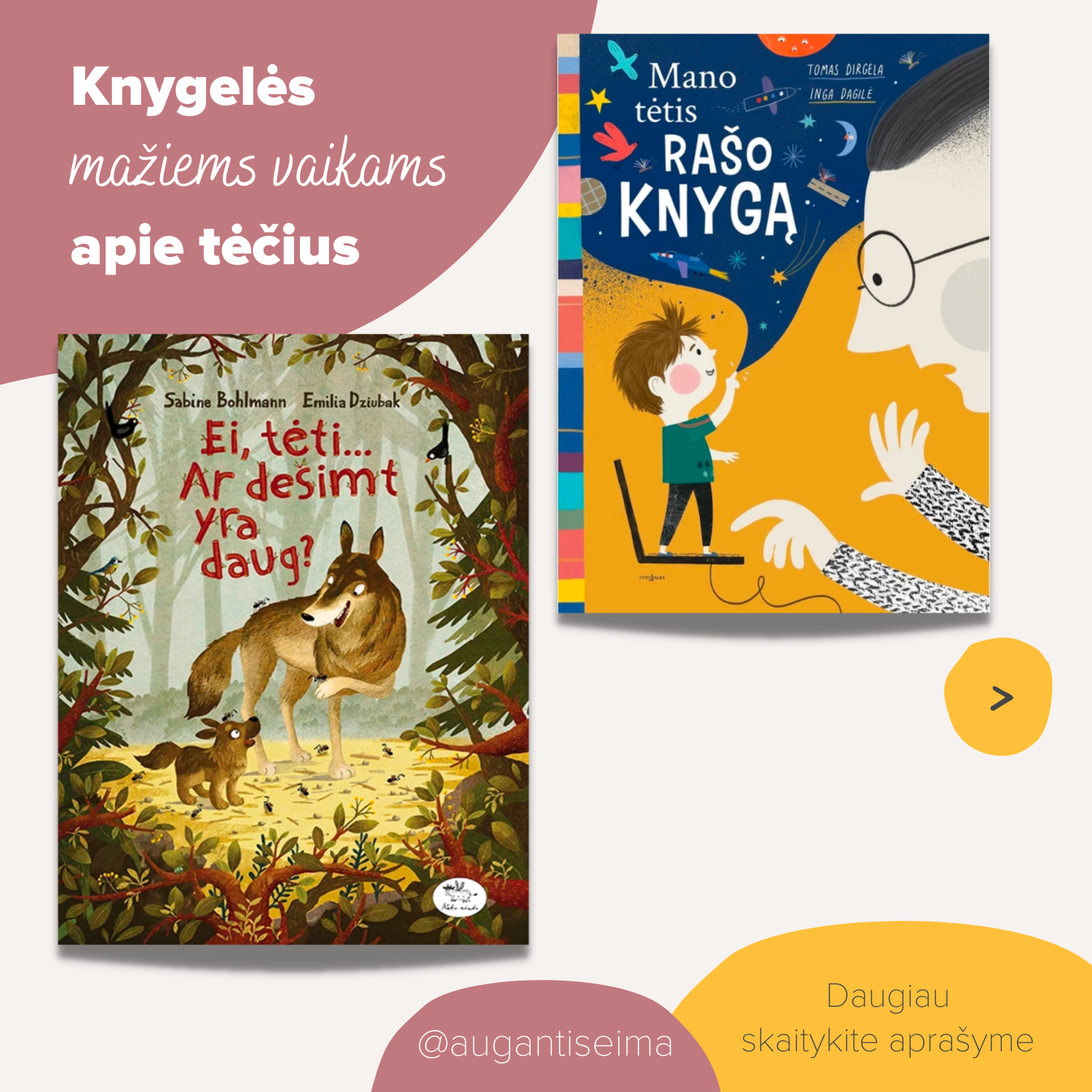 14 idėjų | Vaikiška knyga tėčiui | Knyga tėčio dienai